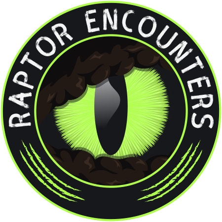 Childrens Parties - Raptor Encounters